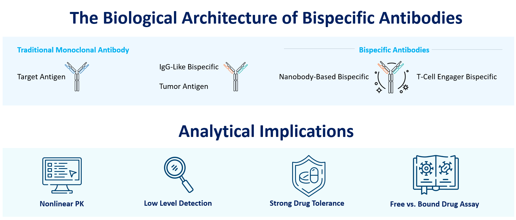 Bispecific Antibodies in Clinical Development: Translating Molecular ...
